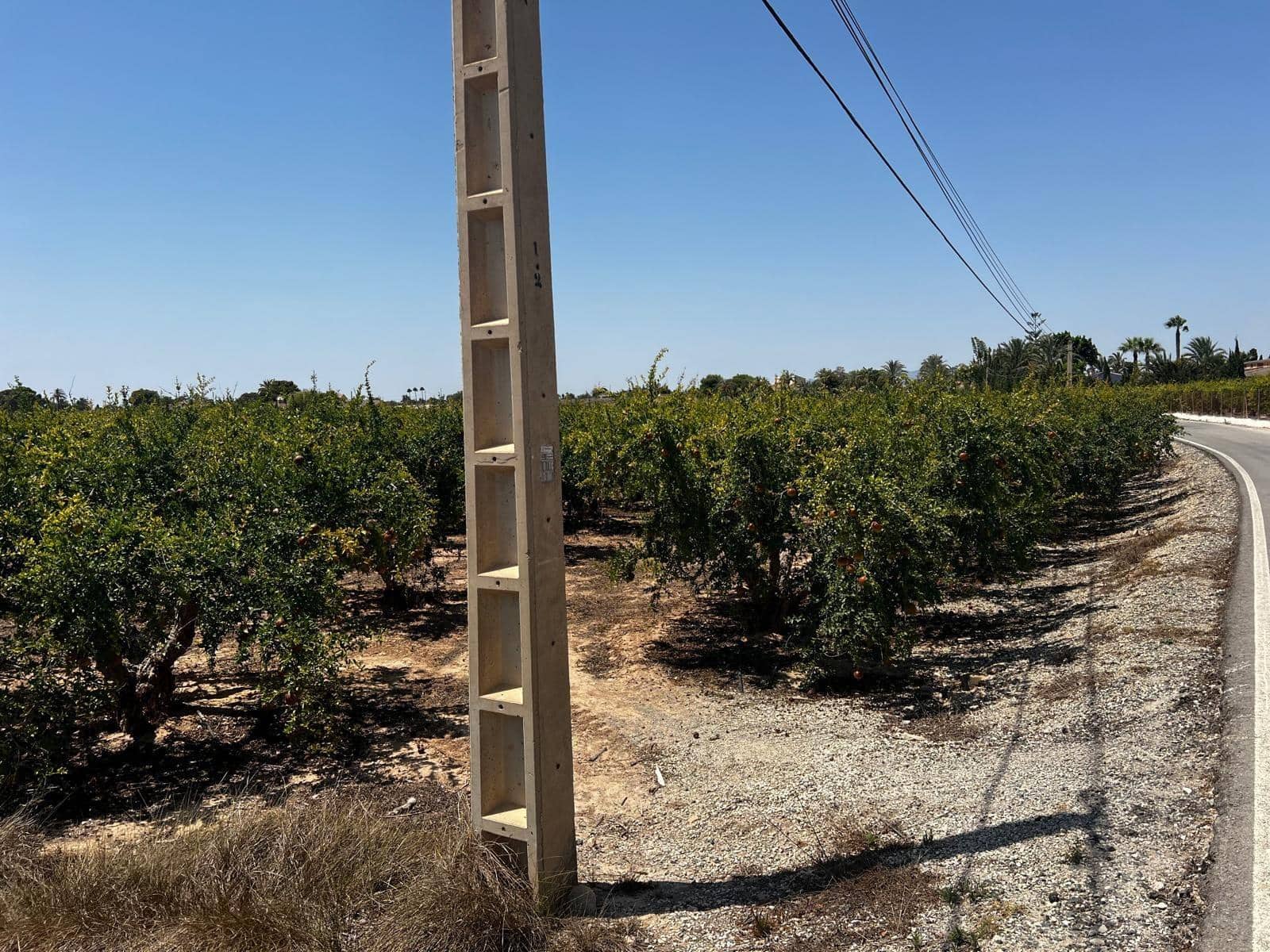 Terreno/Finca Rústica en Valverde, Elche / Elx en venta - 249.000 ...