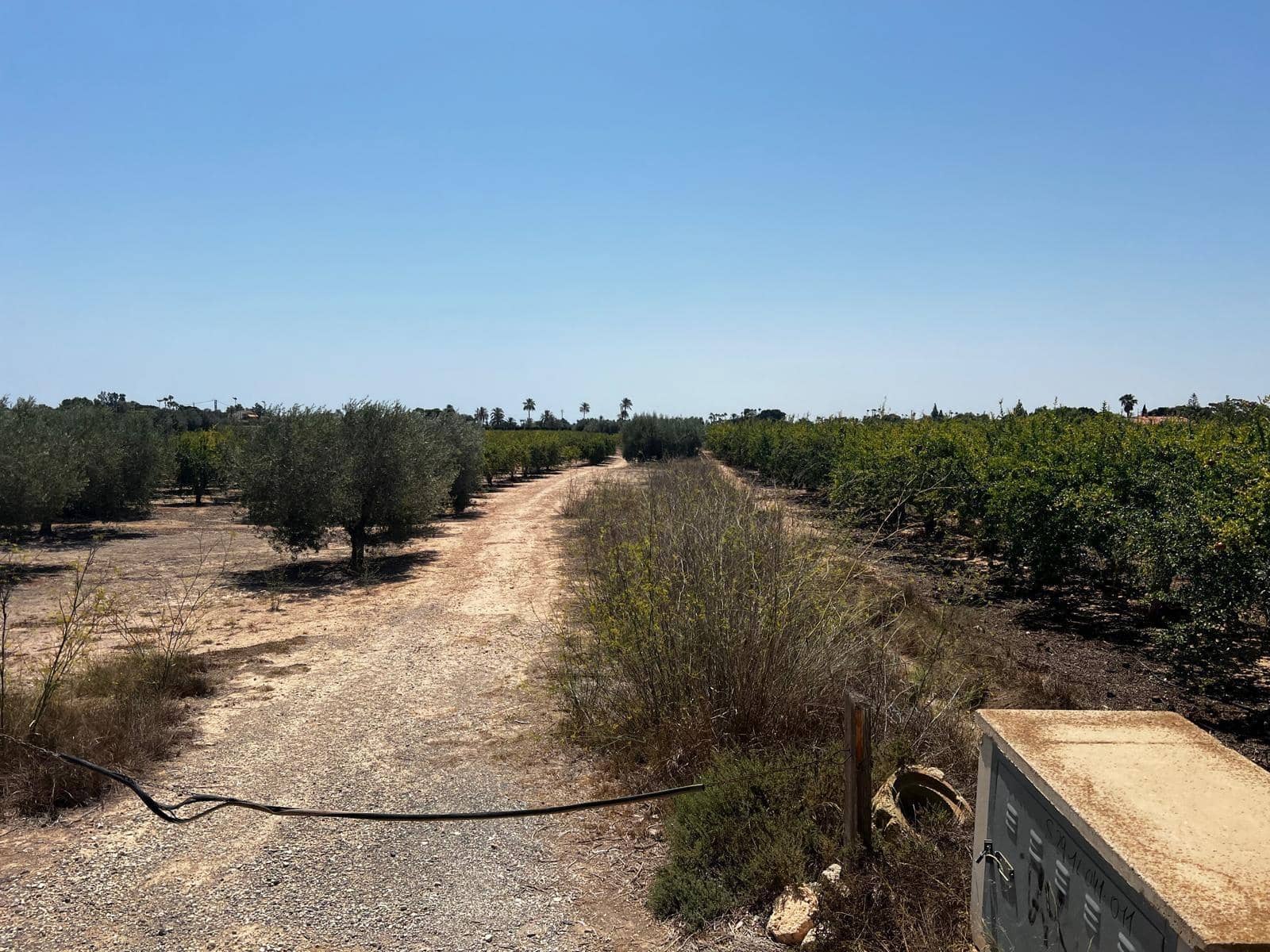 Terreno/Finca Rústica en Valverde, Elche / Elx en venta - 249.000 ...