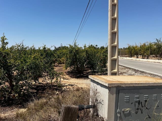 Terreno/Finca Rústica en Valverde, Elche / Elx en venta - 249.000 ...